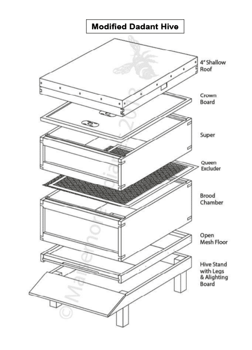 Custom Modified Dadant Hive - BEES ONLINE